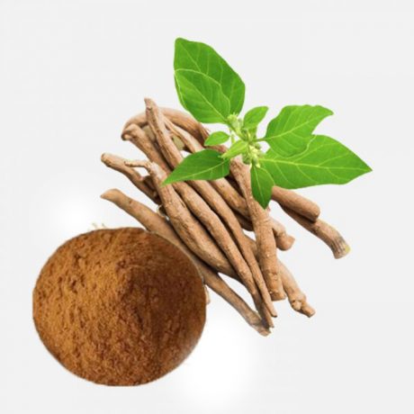 Ashwagandha (Withania Somnifera) Extract - Umalaxmi Organics